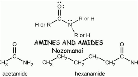 AMINES AND AMIDES YouTube