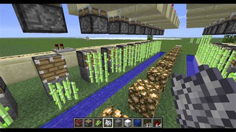 How Long Does Sugarcane Take To Grow Minecraft OR Live