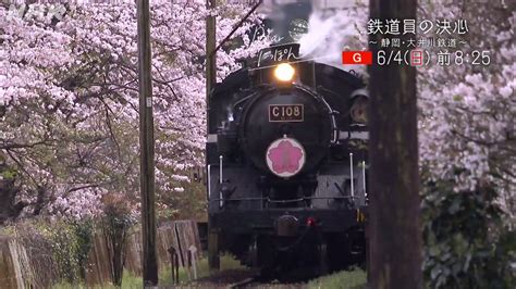 ナンガ O σ on Twitter RT nhk shizuoka 再々放送配信終了間近 Dearにっぽん 大井川