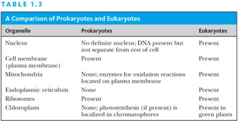 Biol Exam Flashcards Quizlet