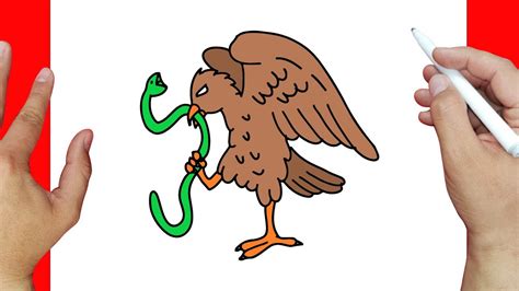 How To Draw The Eagle Of The Mexican Flag Easy Step By Step Youtube