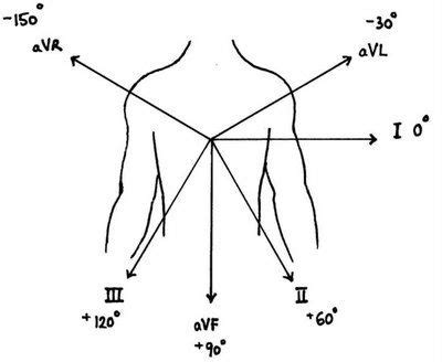 How To Read An Electrocardiogram Ecg Part One Basic Principles Of