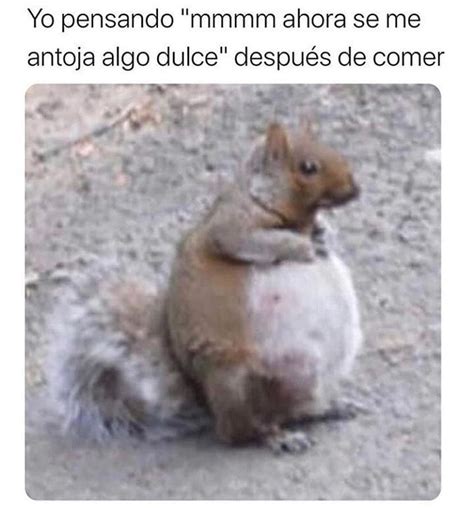 Sobreviviste Sí A que costo Todo lo perdí Memes