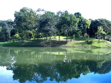 Parque Simón Bolivar Parque simón Bolívar