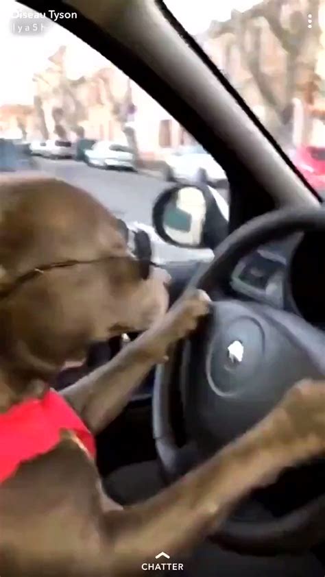 Vids That Go Hard On Twitter God Bless French Snapchat Https T Co