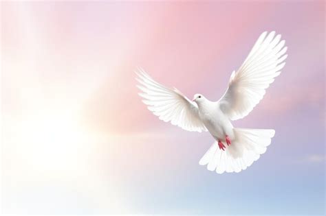 Una Paloma Blanca Volando En El Cielo Foto Premium