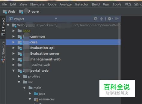 如何使用intellij idea从svn导入项目 【百科全说】