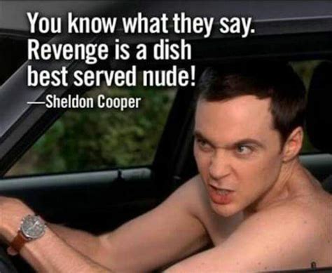 40 Funny Sheldon Cooper Quotes From The Big Bang Theory Dainty Angel