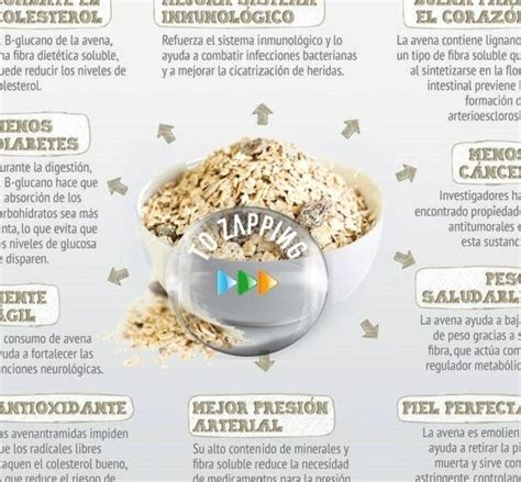 Tipos De Avena Descubre Sus Propiedades Y Beneficios