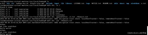 最详细hdfs常用命令作用及截图 hdfs dfs get csdn博客