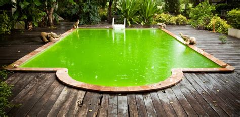 Cómo limpiar una piscina verde de manera efectiva guía paso a paso