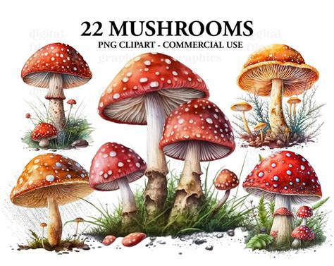 Mushroom Watercolor Clipart Watercolor Forest Art Fantasy Clipart
