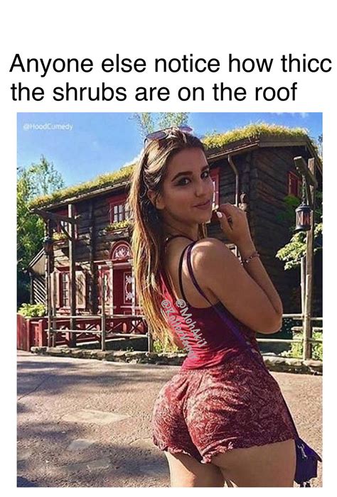 60 Freshly Harvested Memes That Will Make You Bust A Gut Funny