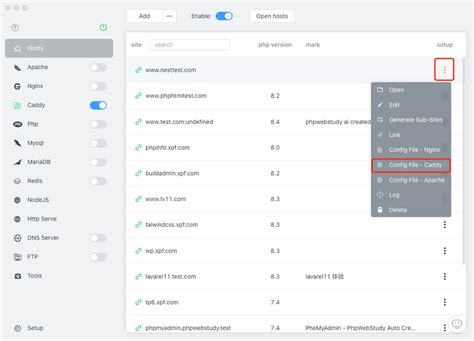 Caddy Reverse Proxy Nestjs Nodejs Phpwebstudy