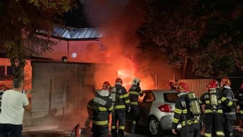 Newspascani Pa Cani T Rgu Frumos Ia I Un B Tr N De De Ani A