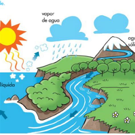 Ciclo Del Agua Dibujo