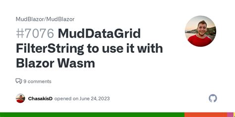 muddatagrid filterstring to use it with blazor wasm · issue 7076 · mudblazor mudblazor · github