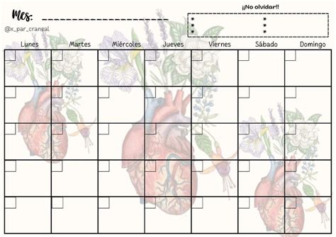 Planner Mensual Salud D Cimo Par Craneal Udocz