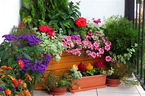 Kompozycje kwiatowe na balkon i taras inspirujące pomysły na kwiaty w