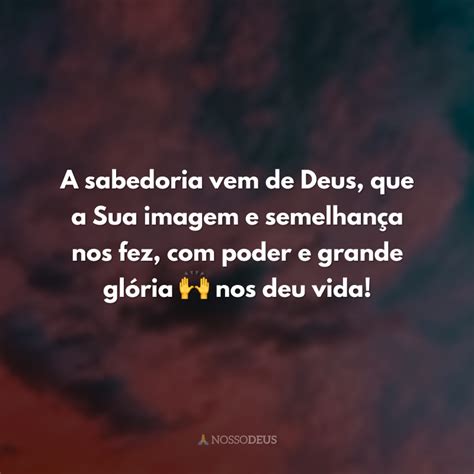 50 Frases De Sabedoria De Deus Para Acolher Os Planos DEle Nosso Deus