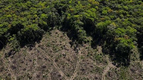 Cem propriedades Cadastro Ambiental Rural concentram exploração