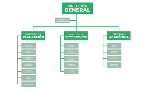 Organigrama