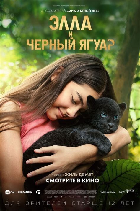 Affiches et images Le dernier jaguar CinéFilms Planet