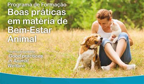 Município de Tavira promove workshop Adotei um cão e agora