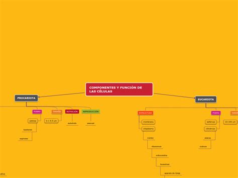 COMPONENTES Y FUNCIÓN DE LAS CÉLULAS Mind Map