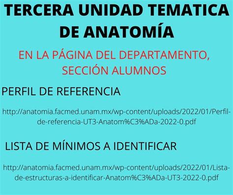 Anatomia FacMed On Twitter PERFIL DE REFERENCIA Https T Co