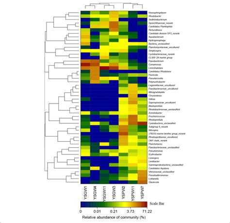 Heatmap Showing The Relative Abundance And Distribution Of