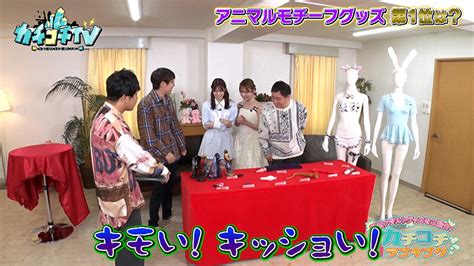 カチコチTV187 エロペディア