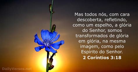 13 Versículos da Bíblia sobre Transformação DailyVerses net