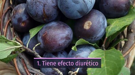 8 propiedades y beneficios de la ciruela Vídeo Dailymotion