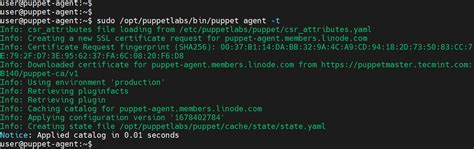 How To Install Puppet Master And Slave In RHEL Based Systems