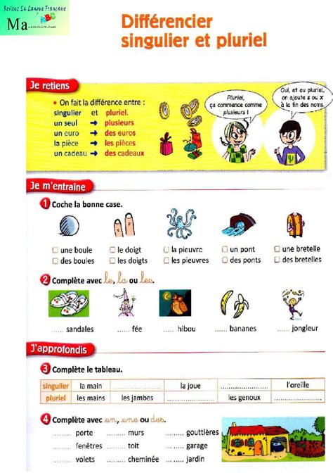 Ma Revision Differencier Singulier Et Pluriel Vocabulaire Ma