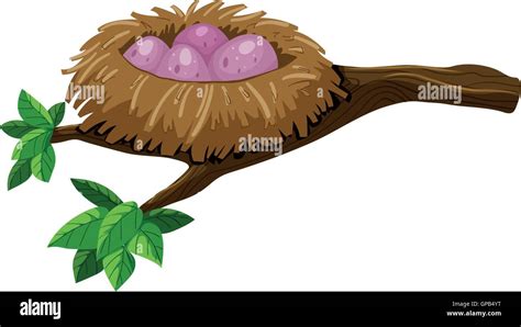 Tropical Bird Nest Stock Vector Images Alamy