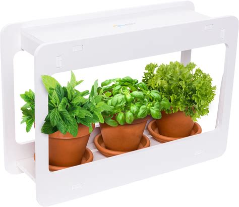 LED Indoor Herb Garden At Home Mini Window Planter Kit For Herbs
