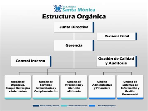 Estructura Organica De Una Empresa