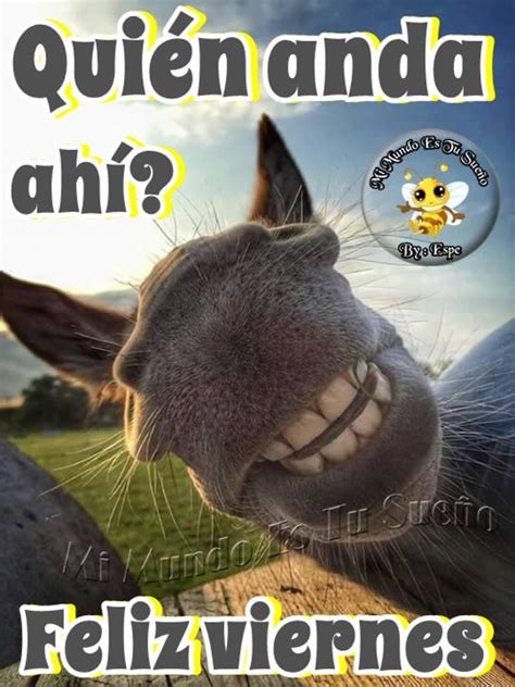 Feliz Viernes Im Genes Chistosas Bonitasimagenes Net