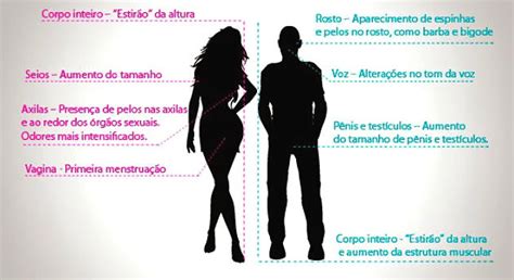 Puberdade o que é masculina e feminina Toda Matéria