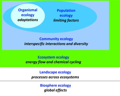 Ecology Overview Flashcards Quizlet
