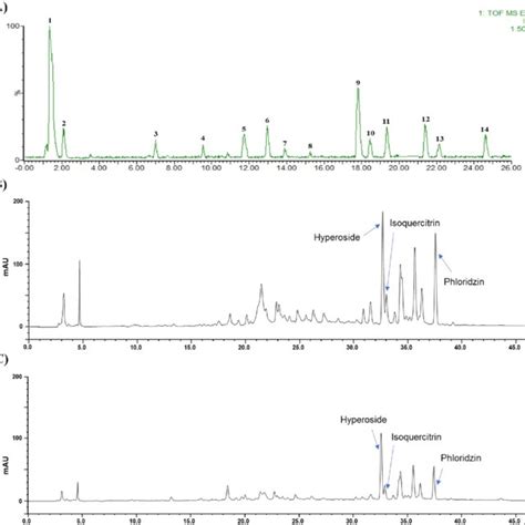LC MS And HPLC DAD Chromatograms At 280 Nm Of Flavonoids Obtained From