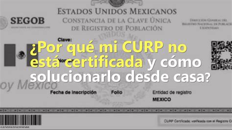 Por Qu Mi Curp No Est Certificada Y C Mo Solucionarlo Desde Casa