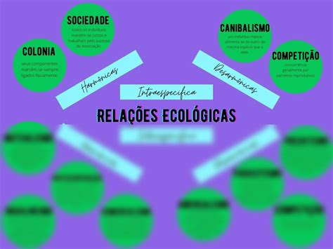 SOLUTION Mapa Mental Rela Es Ecol Gicas Studypool