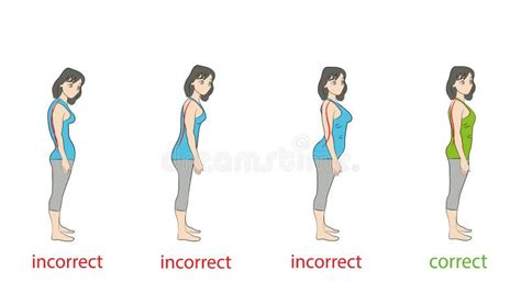 Correct Or Incorrect Standing And Walking Posture Vector Stock Vector