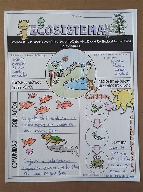 Ecosistema Hoja De Repaso Teaching Science Science Classroom Plant