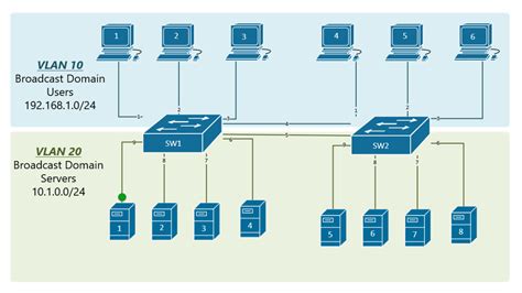 VLAN Trunking NetworkAcademy Io