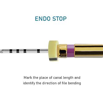 C Path Rotary File Root Canal Files Fanta Dental