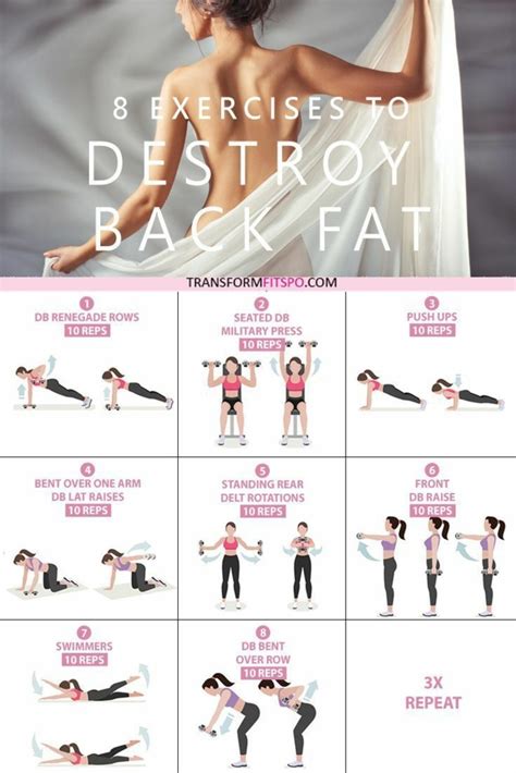 Zu Hause Sport treiben ohne Geräte Perfekte Übungen und Workouts